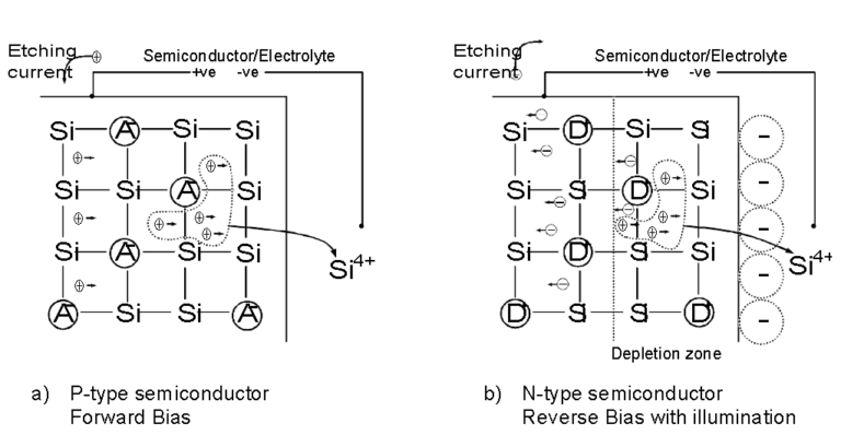 ECV – Probion Analysis
